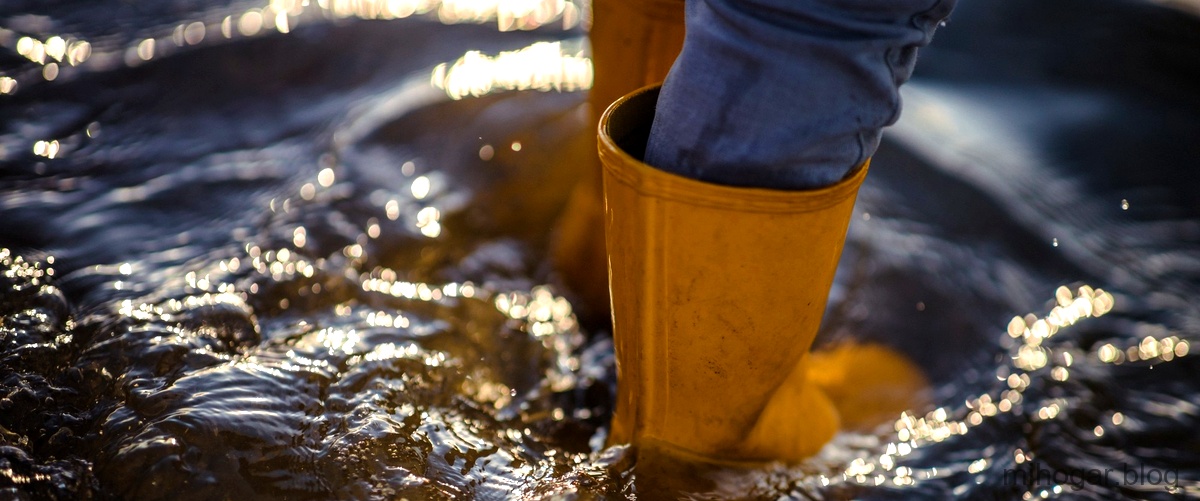 Descubre las mejores botas de agua para mujer en Marypaz - Mi Hogar