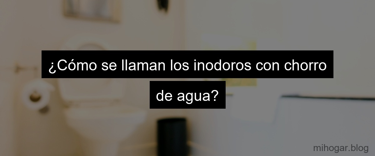 Inodoro Roca con bidet incorporado: la solución perfecta para tu baño ...