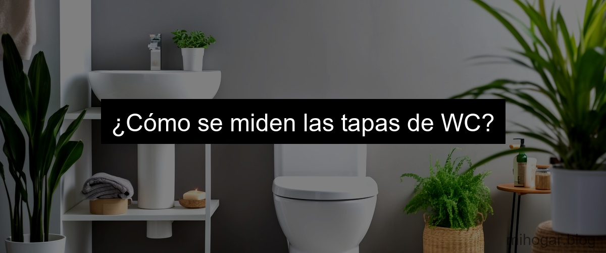 Tapa WC Bellavista Stylo: Encuentra la mejor opción en Leroy Merlin - Mi Hogar