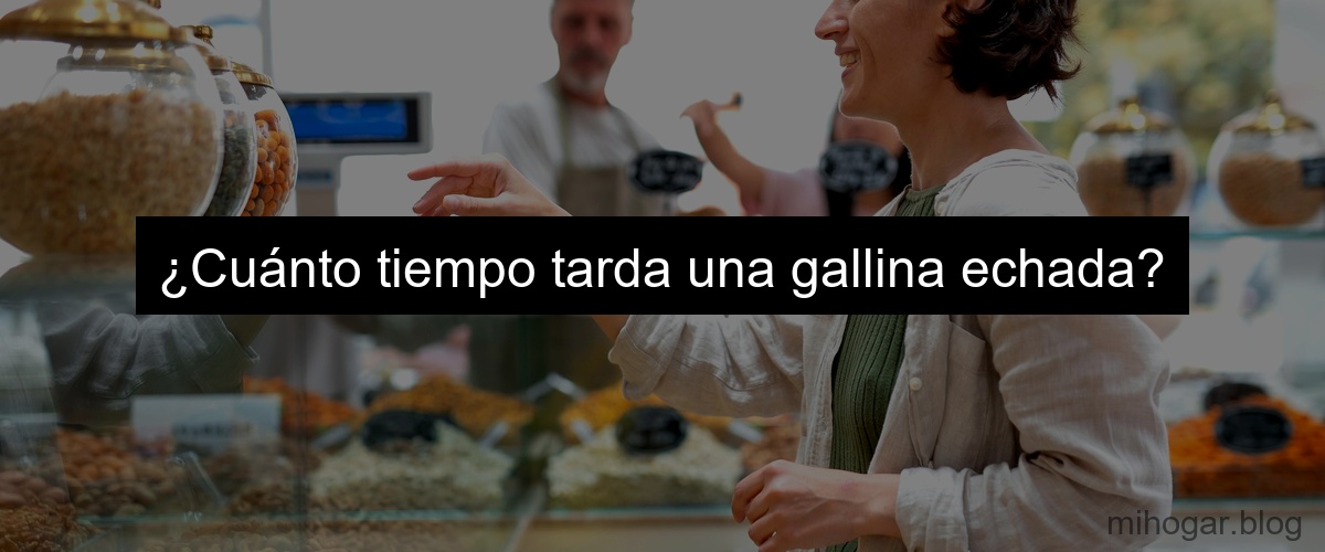 Gallinas en venta en Sevilla - Encuentra tus nuevas compañeras - Mi Hogar