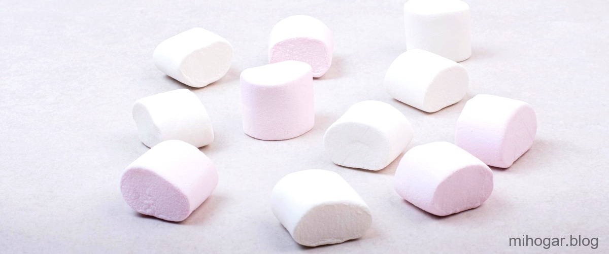 Pastillas Anticonceptivas Para Gatas: Opciones Y Precios – VNUMS