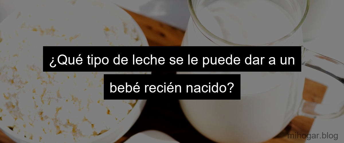 Mejor leche de fórmula OCU 2022: ¿Cuál elegir para tu bebé? - Mi Hogar