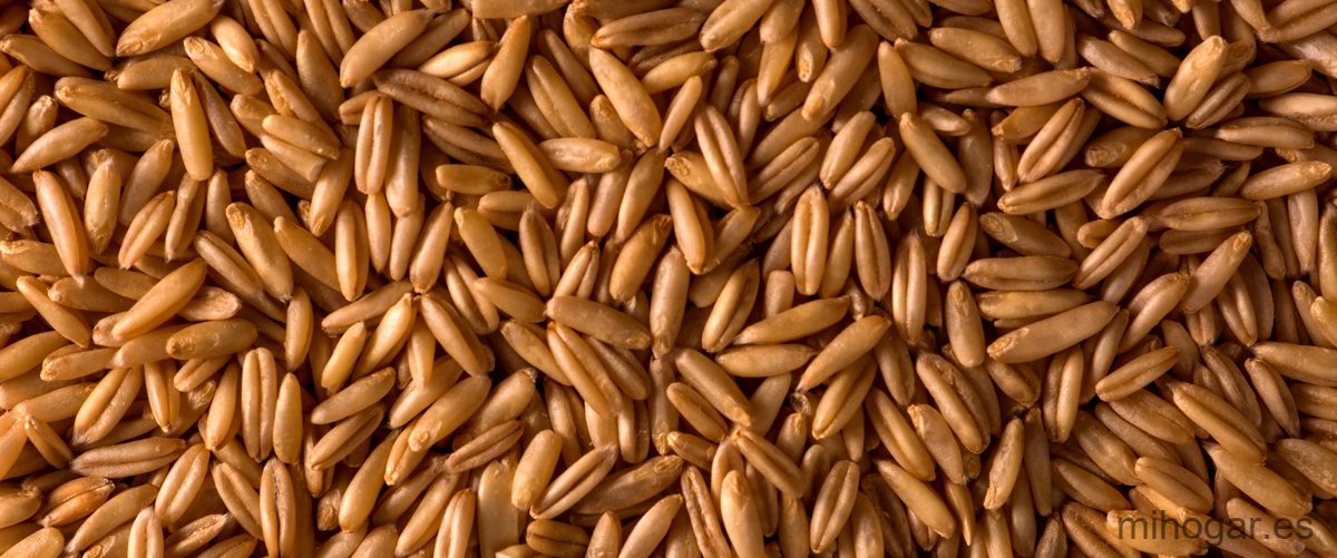 Alpiste para consumo humano Mercadona: una opción saludable - Mi Hogar