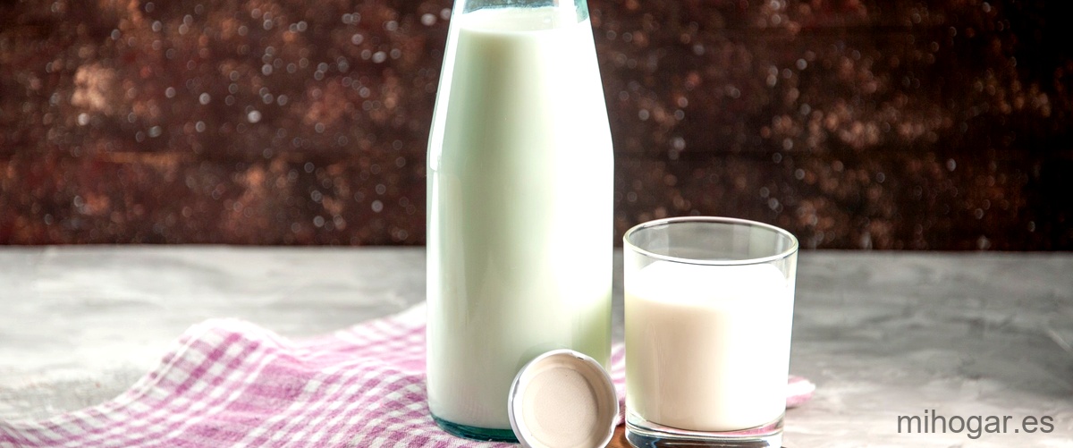 ¿Qué tan saludable es la leche de búfala?: beneficios y propiedades ...