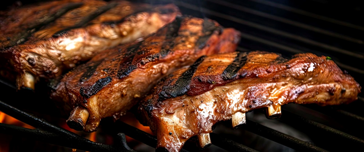 Barbacoa gas hyba 3 fuegos: la mejor opción para tus asados - Mi Hogar