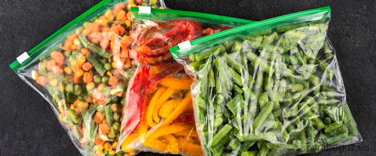 Bolsas para llevar comida Decathlon: soluciones prácticas para tus ...