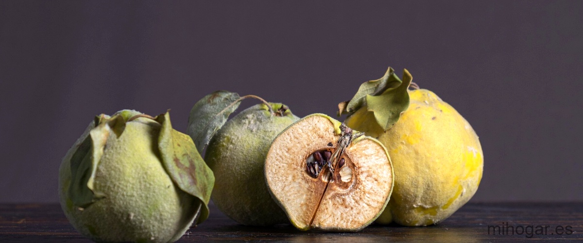 Garcinia Cambogia Lidl o Mercadona: ¿cuál es la mejor opción? - Mi Hogar