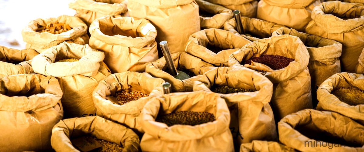 Sacos grandes de pienso para perros: la opción ideal para alimentar a ...