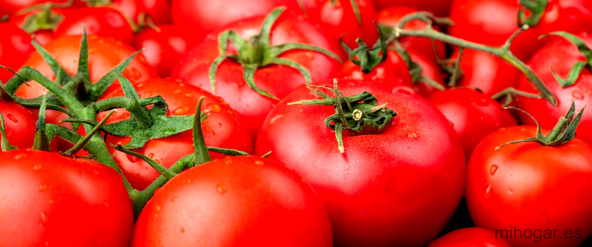 Tomate Mar Azul Semillas Amazon: Sabor excepcional y calidad ...