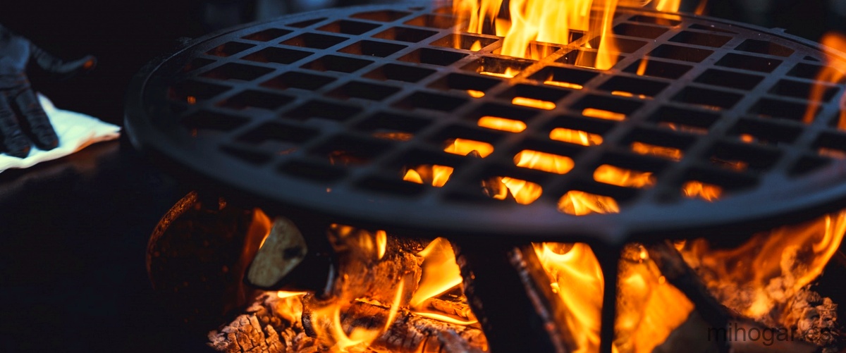 Barbacoa sin humo Lidl: la opción perfecta para disfrutar al aire libre ...