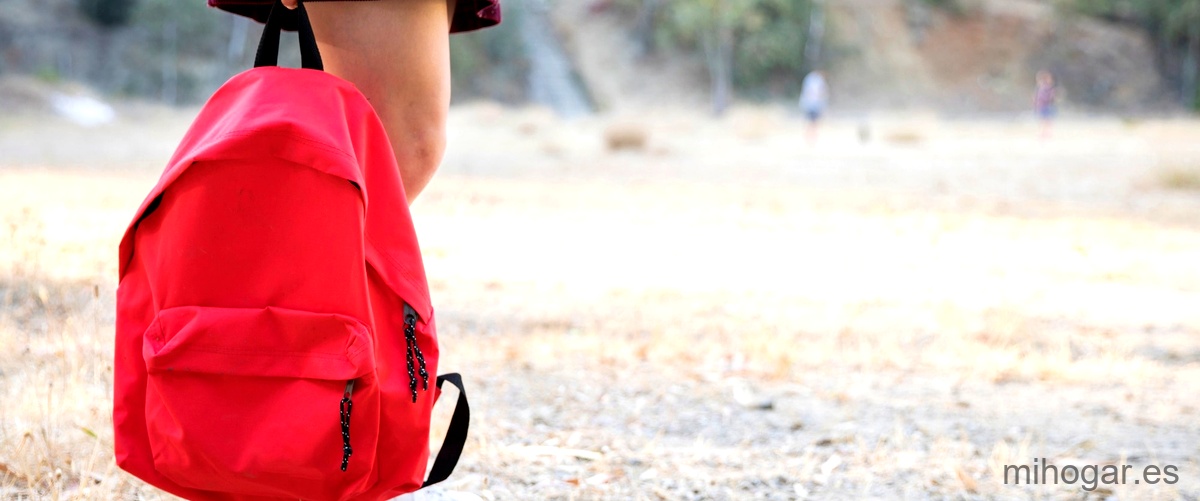Mochilas para primero de primaria: cómodas y duraderas - Mi Hogar