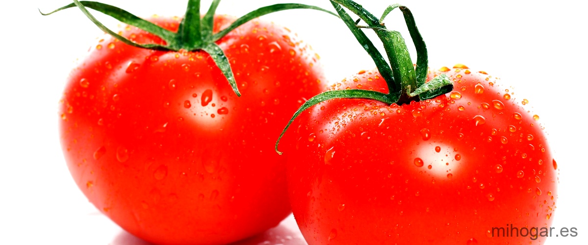 Tomate Mar Azul Semillas Amazon: Sabor excepcional y calidad ...