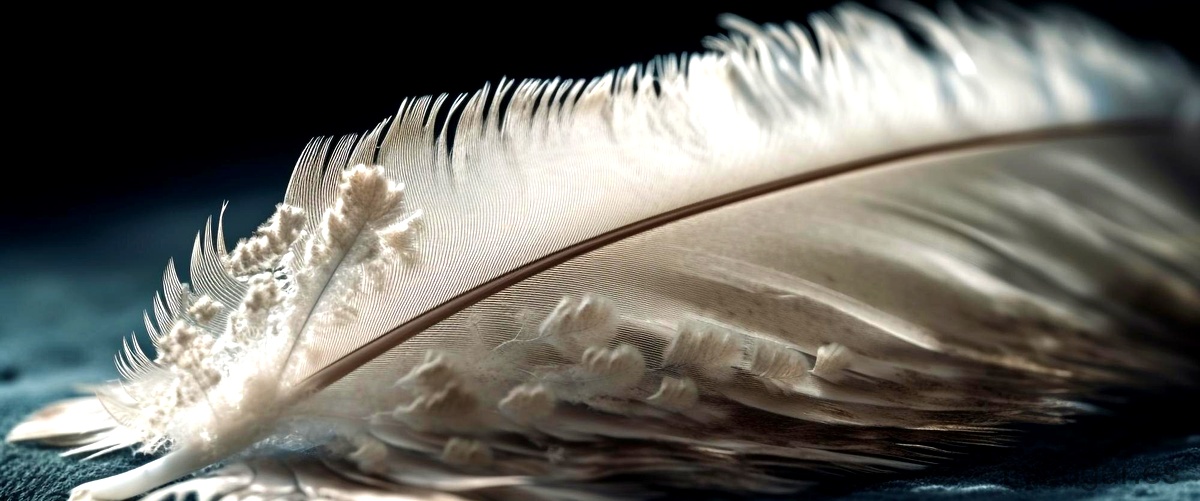 Plumas ligero mujer Massimo Dutti: elegancia y estilo - Mi Hogar