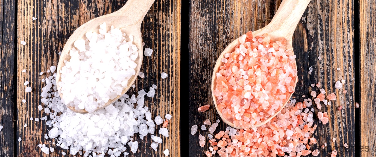 Sal de roca donde comprar: la mejor opción para condimentar tus platos ...