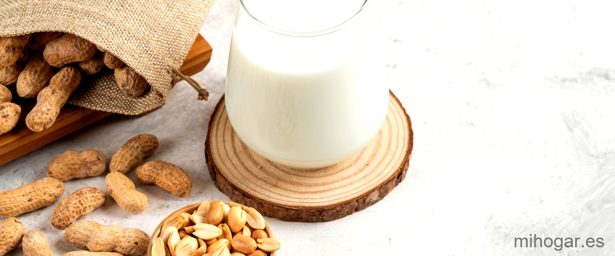 Leche de coco light Lidl: una alternativa saludable y deliciosa - Mi Hogar