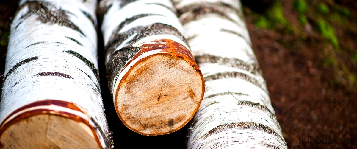Troncos de madera redondos precios: calidad y durabilidad. - Mi Hogar