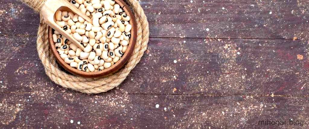 ¿Qué es el trigo espelta?: diferencias y beneficios del pan y harina de ...