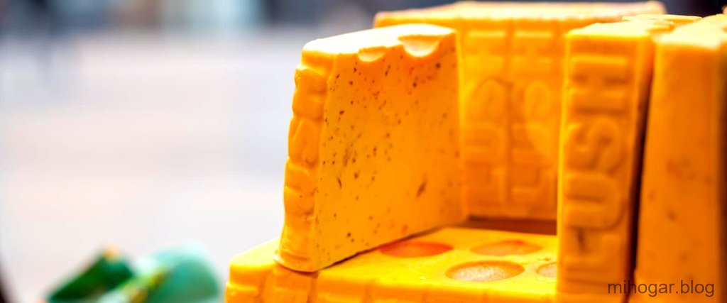 Dónde comprar queso Monterrey Jack: todo lo que necesitas saber. - Mi Hogar