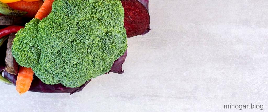 Cuajo vegetal: todo lo que necesitas saber sobre el queso sin lácteos ...
