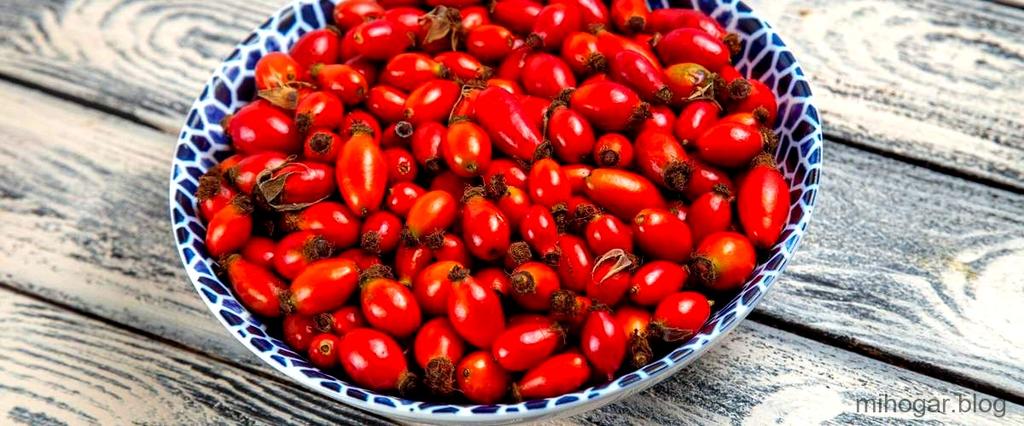 ¿Cómo consumir las bayas de Goji para aprovechar sus beneficios? - Mi Hogar
