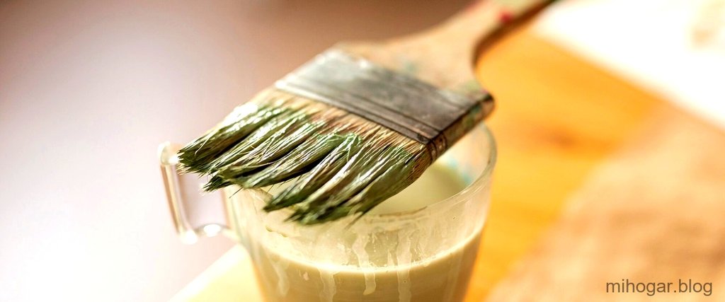 Cómo preparar y disfrutar del alga nori deshidratada: consejos y ...