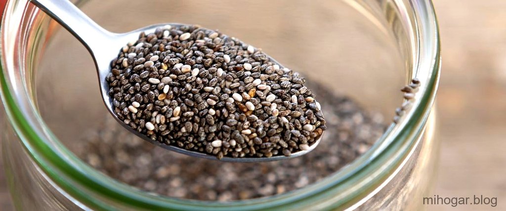 Psyllium: qué es, para qué sirve y cómo tomarlo adecuadamente - Mi Hogar