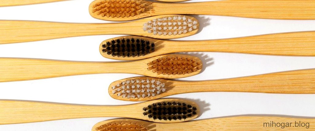 Tinte vegetal: todo lo que necesitas saber - Mi Hogar