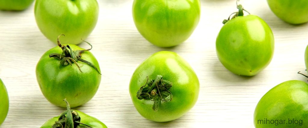 Tomate Mar Azul Cherokee: Cultivo, Propiedades y Semillas - Mi Hogar