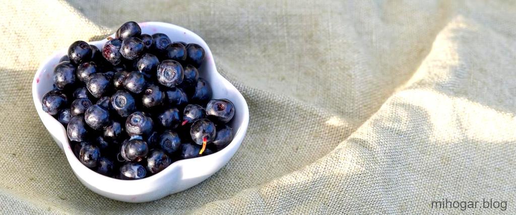 Beneficios de las pastillas de arándanos rojos para la cistitis: ¿Cuál es el mejor producto en ...