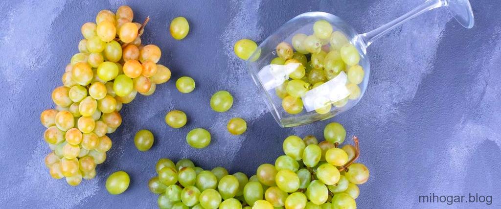 Tipos de uva para vino: ¿Cuál es la mejor variedad de uva tinta? - Mi Hogar