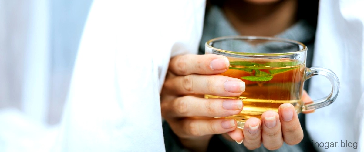 Infusiones en Lidl: opiniones y variedades disponibles. - Mi Hogar