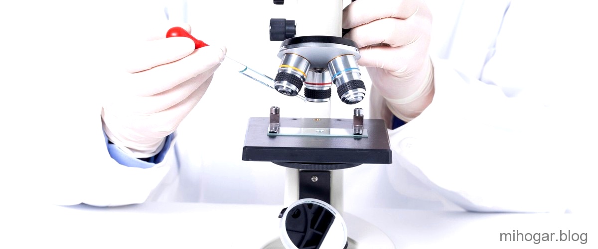 Lidl Microscopio: Explora la ciencia con telescopio y microscopio para ...