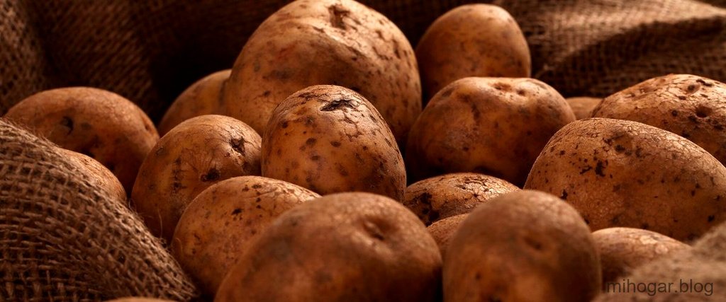 Patata agria en Mercadona: la mejor opción para tus recetas - Mi Hogar