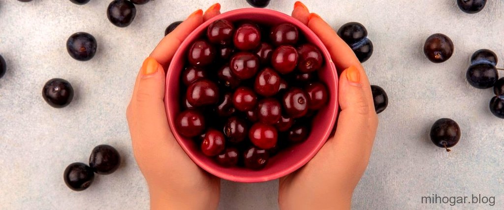 Los increíbles beneficios de las bayas de açaí: propiedades y usos - Mi ...