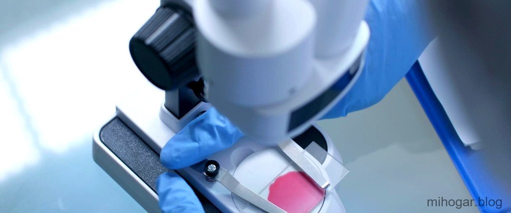 Lidl Microscopio: Explora la ciencia con telescopio y microscopio para ...