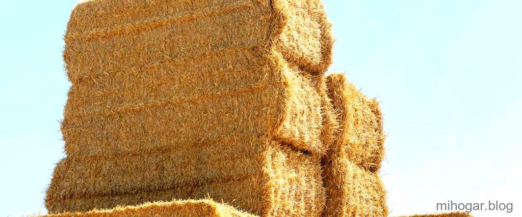 Mejor heno para cobayas: marcas y tipos recomendados para conejos y ...
