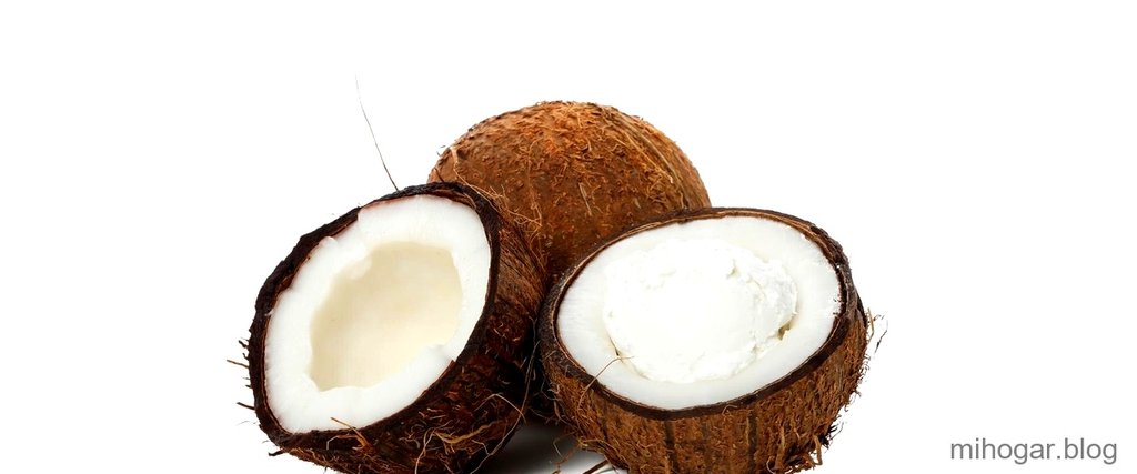 Comer coco crudo: Beneficios y propiedades para la salud - Mi Hogar