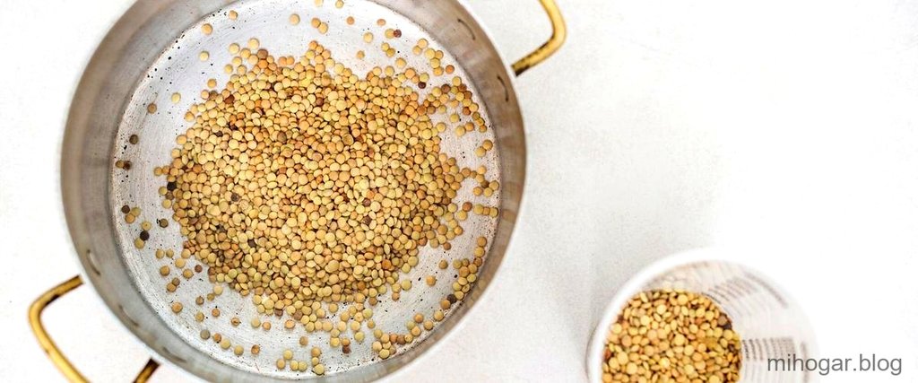 ¿Dónde encontrar y qué beneficios tiene el trigo sarraceno? - Mi Hogar