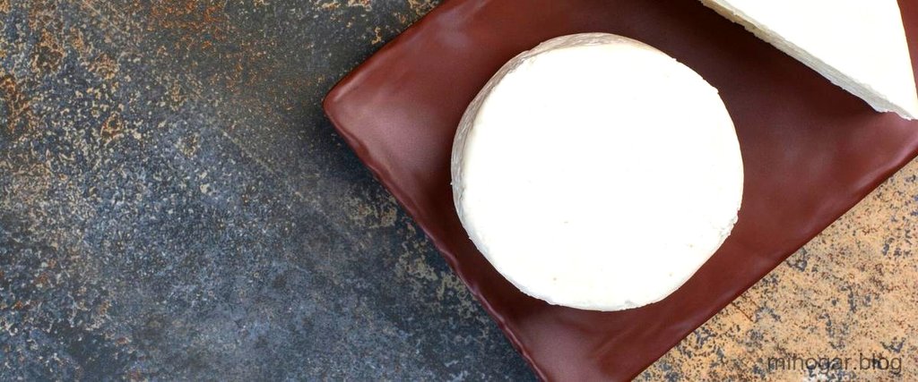 Dónde comprar queso Monterrey Jack: todo lo que necesitas saber. - Mi Hogar