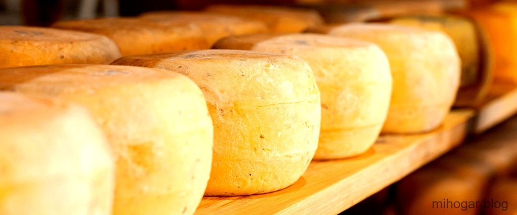 ¿Cuánto tiempo fermentar la masa del pan?: Consejos y tiempos ...